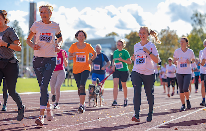 Germeringer CEWE STADTLAUF - Stadt Germering